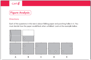 What type of questions are in a CAT4 test?